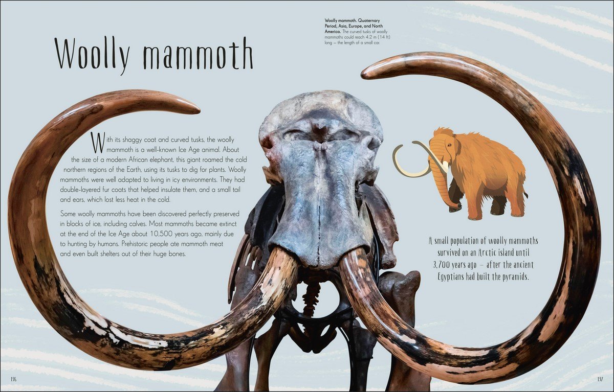 Dinosaurs and Other Prehistoric Life – Stardust Concept Store